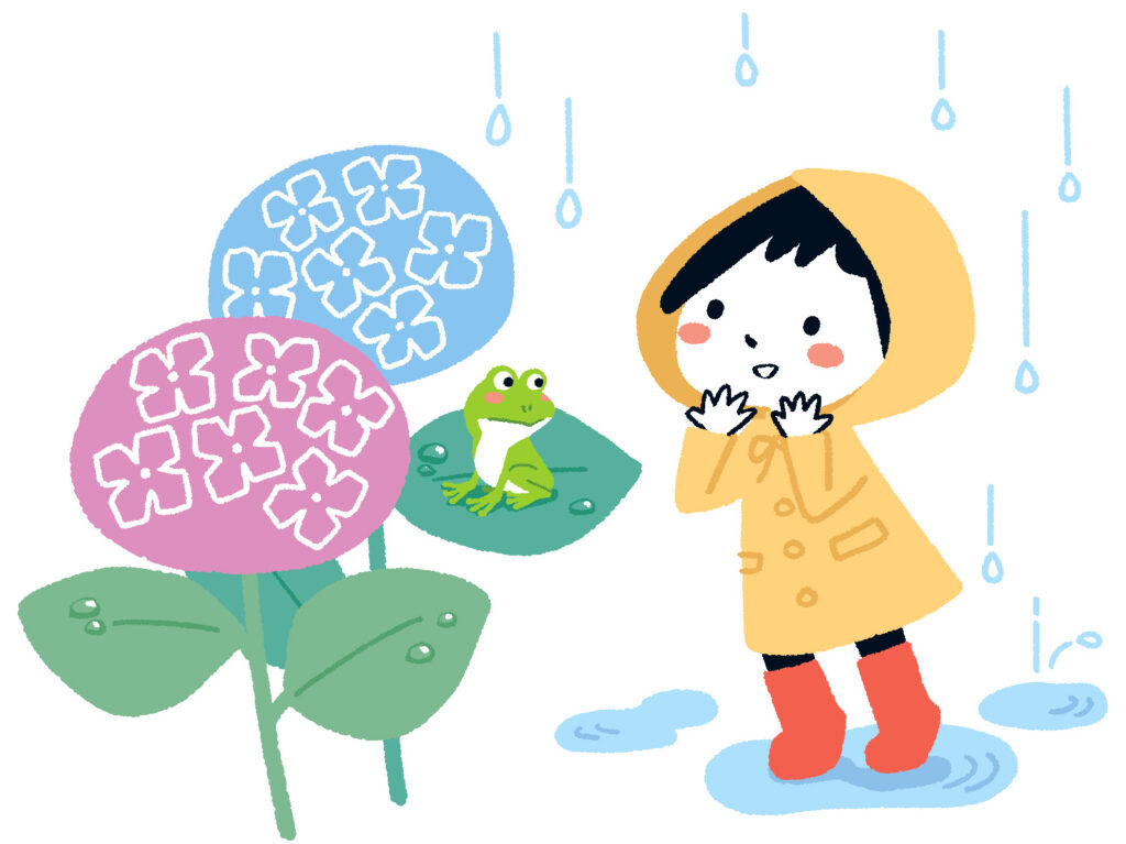 梅雨にまつわるマルバツクイズ 全30問 子ども向け 面白い豆知識問題を紹介 クイズ王国